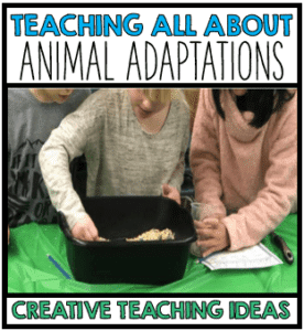 Animal Adaptations: Top Five Ways to Engage - Creative Classroom Core