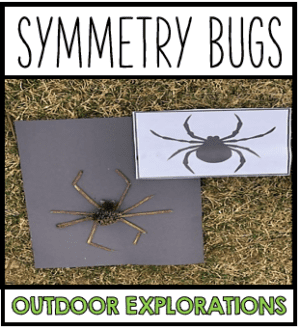 Outdoor Education Activity - Symmetry Bugs - Creative Classroom Core