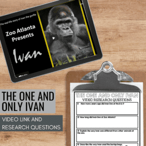 The One and Only Ivan Novel Study Activities - Creative Classroom Core