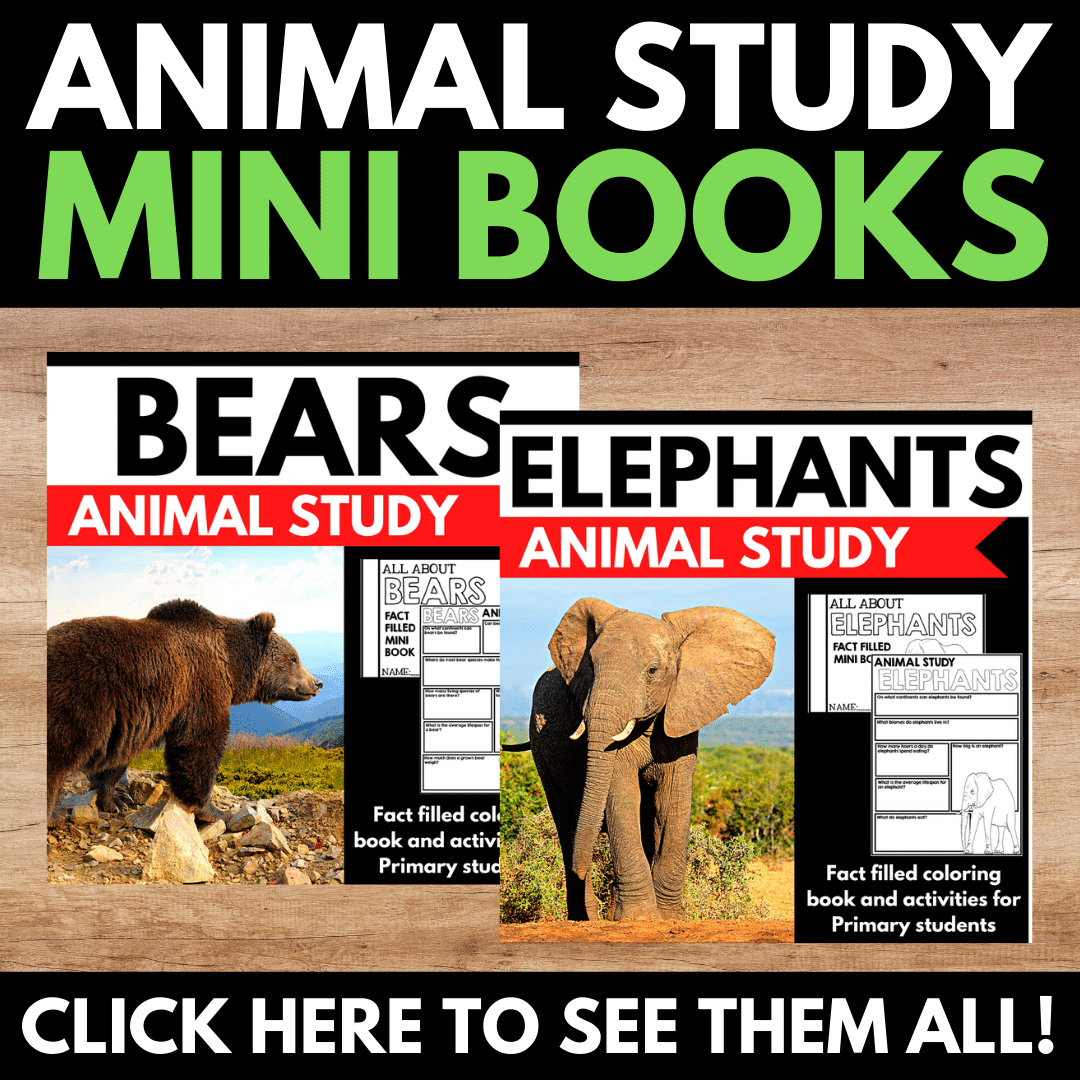 Three Engaging Ways to Use Mini Book Activities for elementary ...