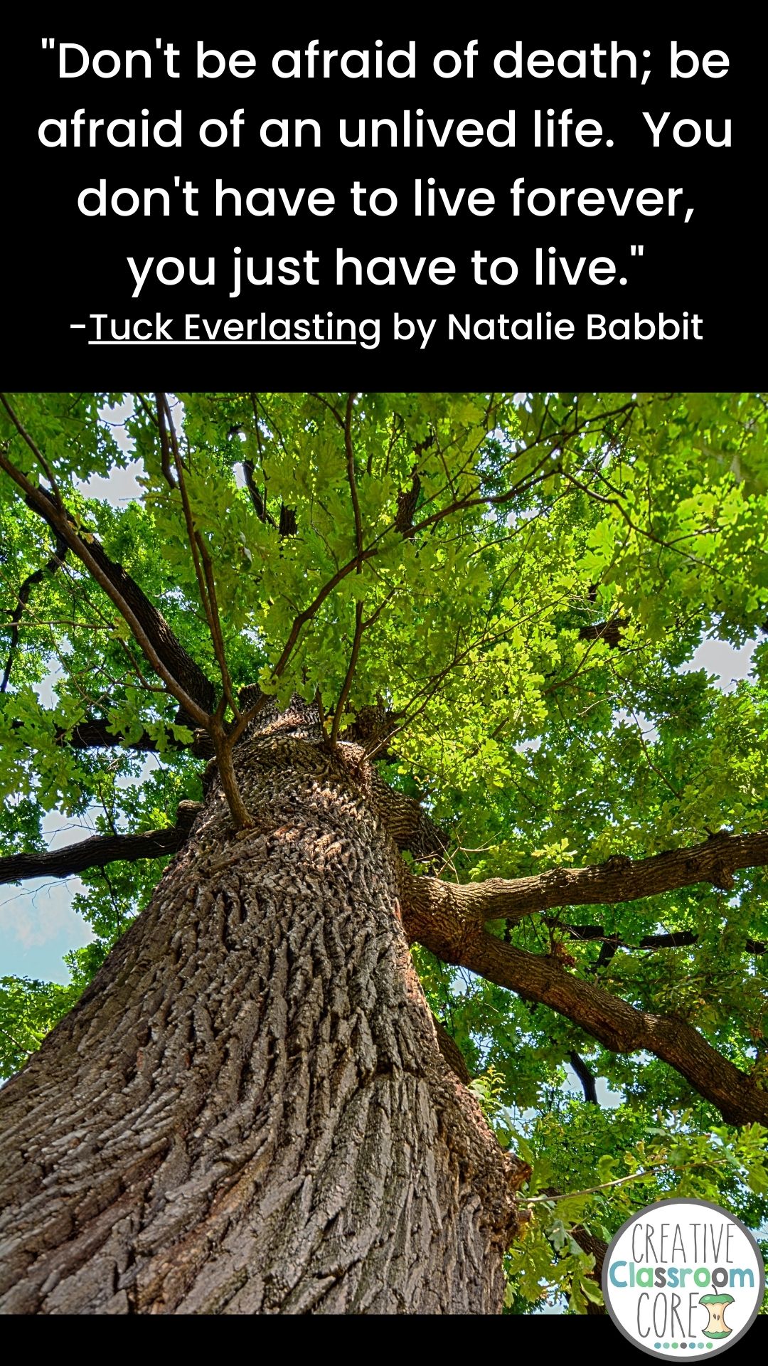 Spring Novel Studies for Upper Elementary - Creative Classroom Core