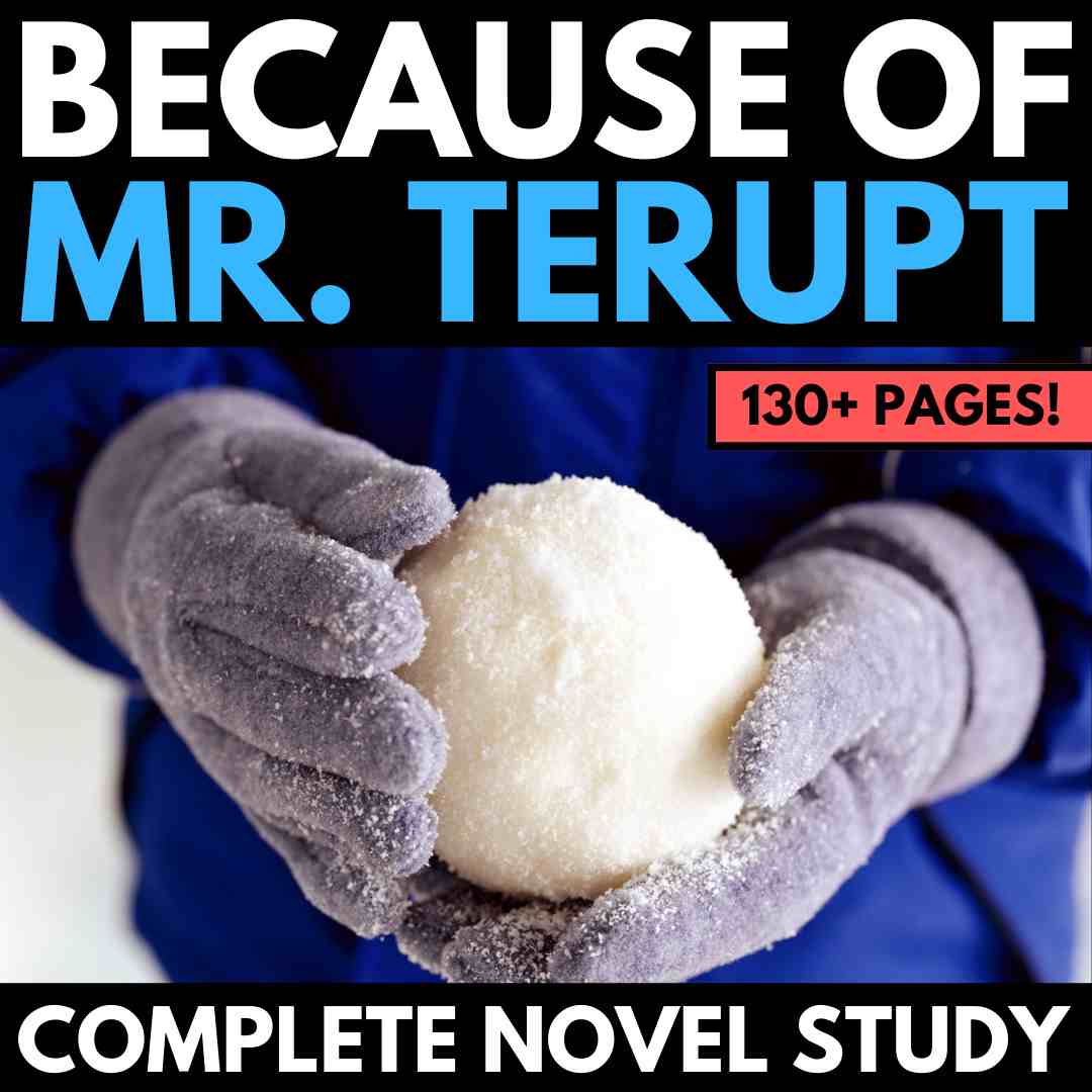Because of Mr. Terupt Novel Study Ideas - Creative Classroom Core